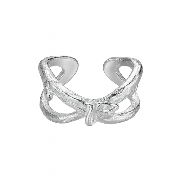 Aster & Aura Mystic Woodland Ring | I Dream a Highway